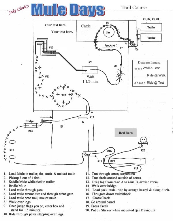 Saddle Mule Auction - Jake Clark Mule Days, Ralston WY